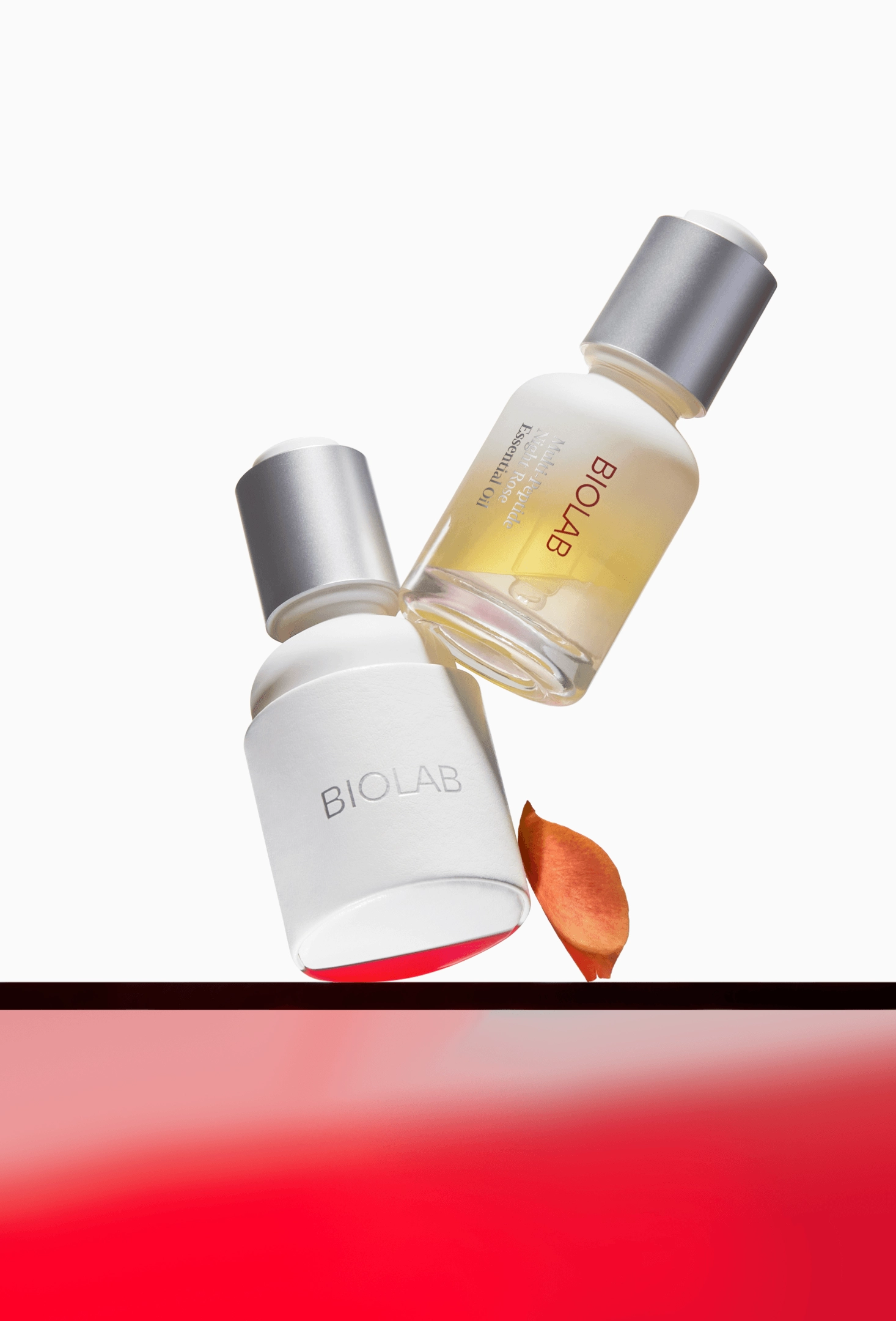 quality,Q_100 (306 KB,1466*2160)